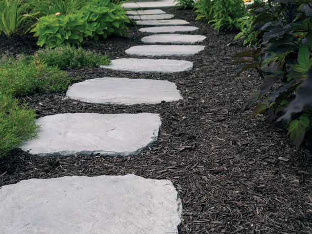 Stepping Stones - Carefree Lawn Center